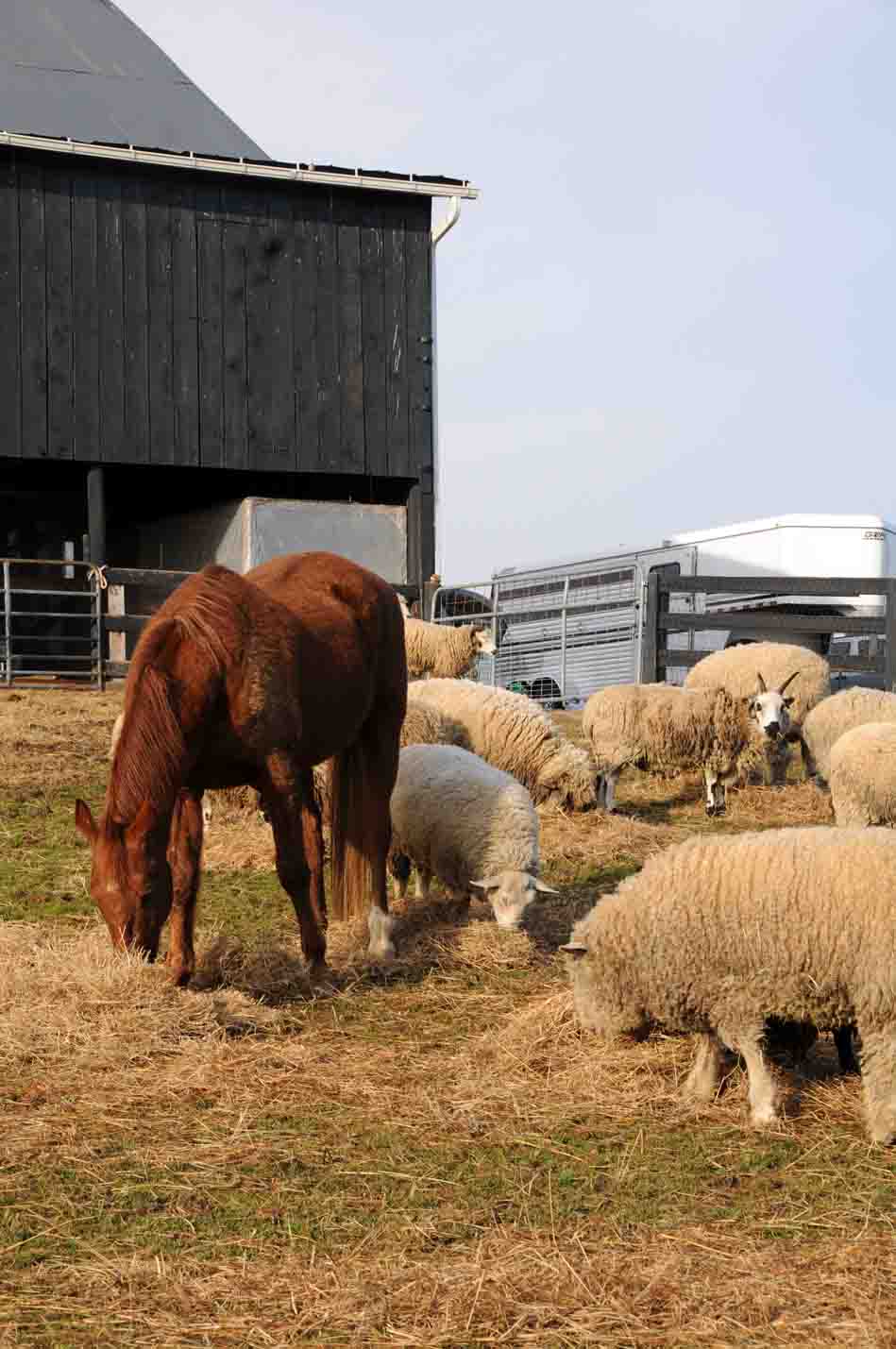 Punkin's Patch: February 2012