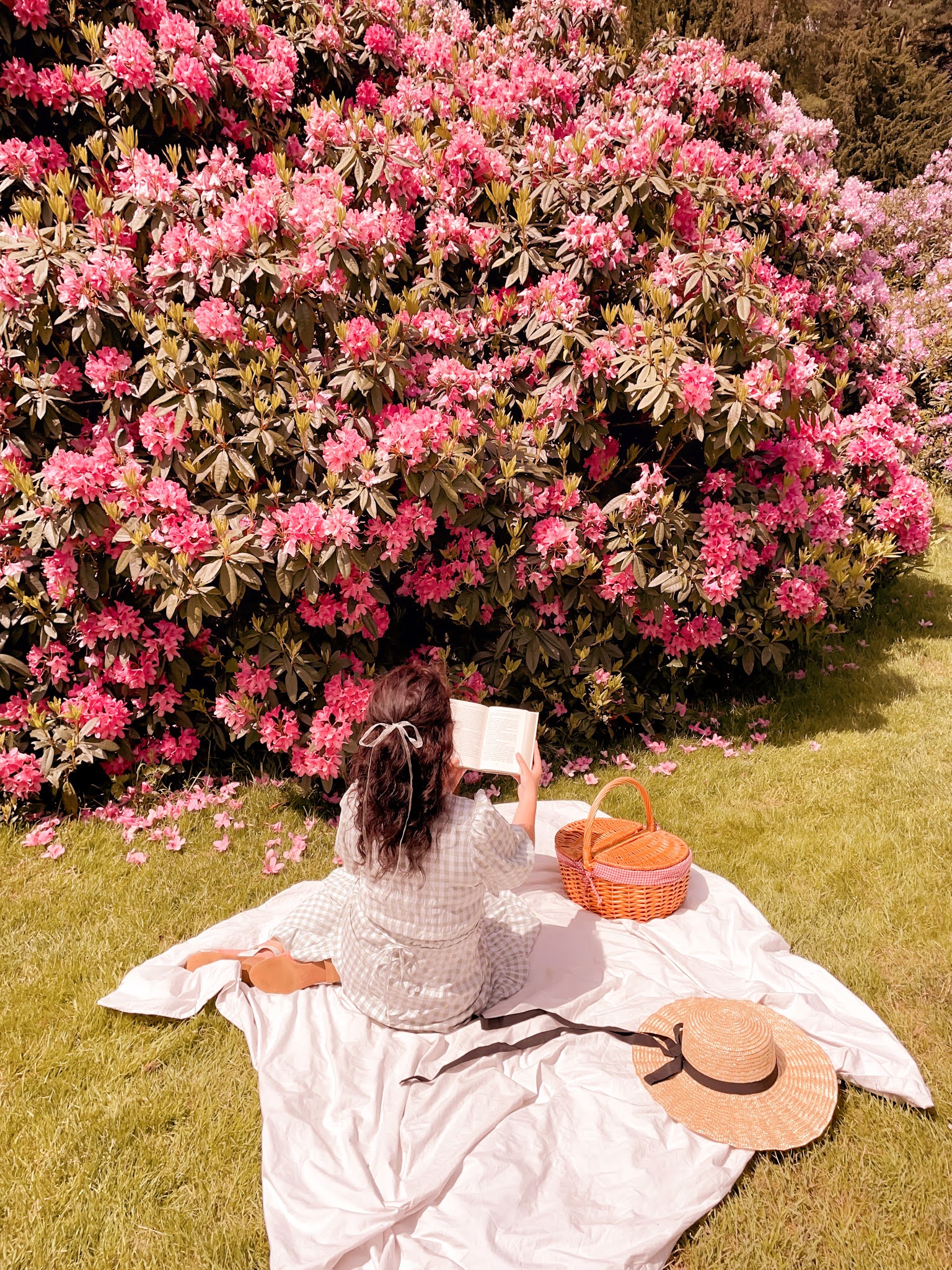 How To Create The Perfect Summer Picnic | Pint Sized Beauty