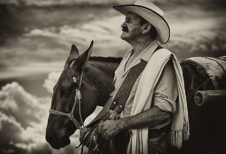 LA HUELGA DE LOS ARRIEROS DEL NORTE