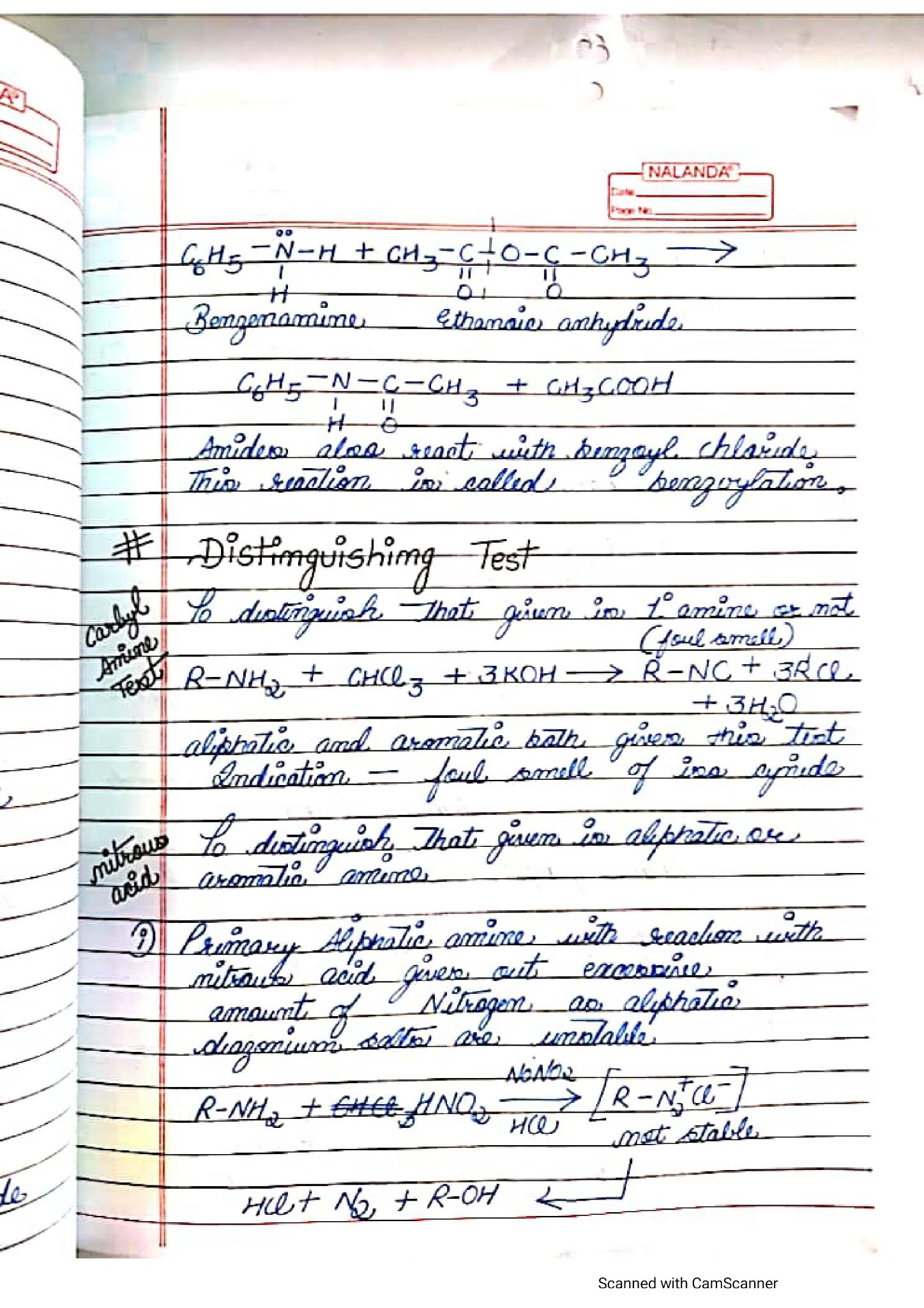 Chemistry Chapter 13- Amines Class 12 Handwritten Notes PDF download