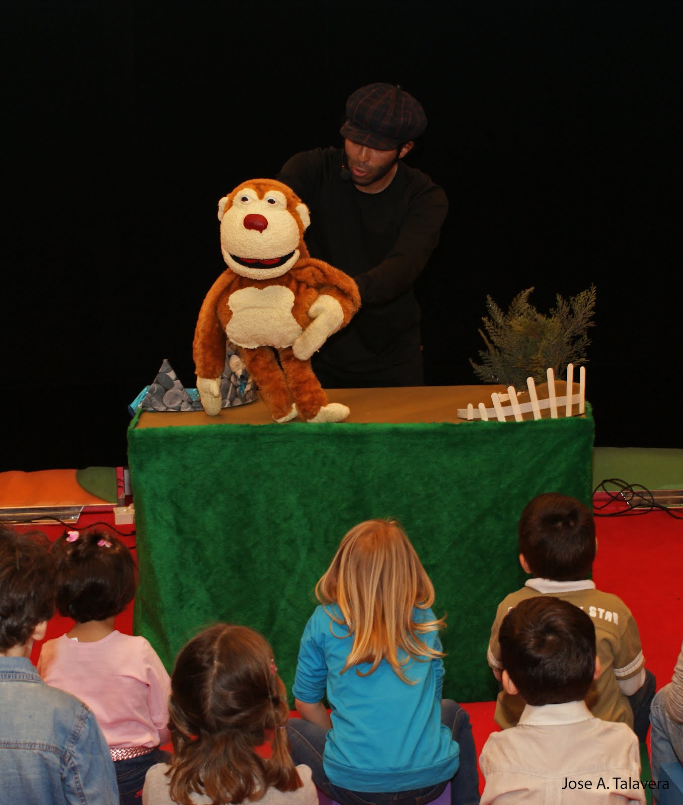 ¿Qué hace un mono en el bosque?