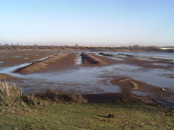 Pit 6 Emptied ~ A1 PITS