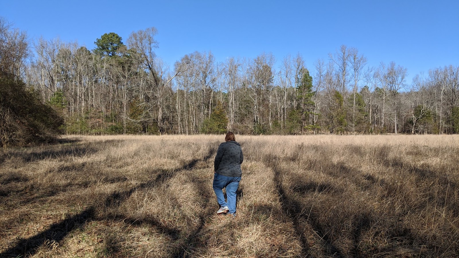 Bikes, Boots, & Boats: Hiking at Ayr Mount