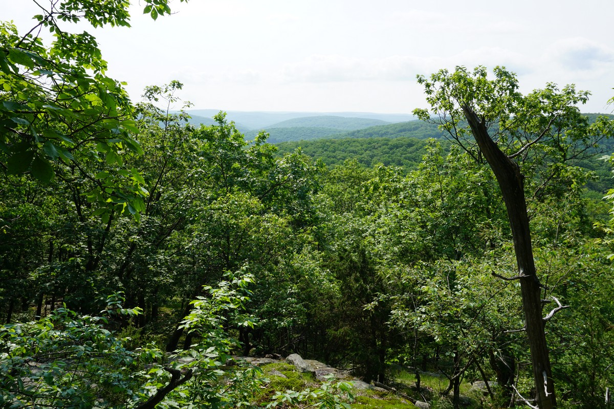 Harriman Hiker: Harriman State Park and Beyond: Doris Duke Area ...
