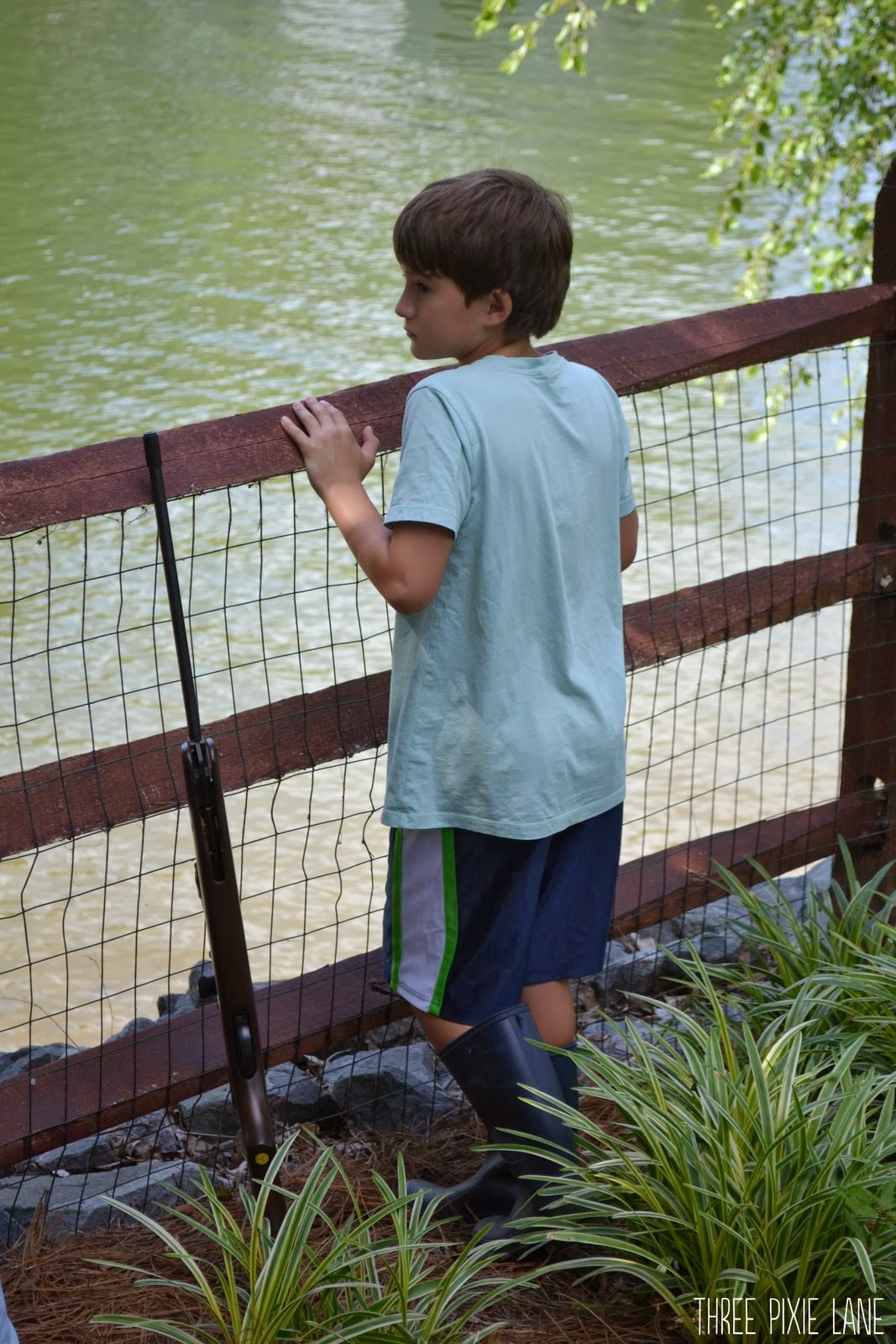 Three Pixie Lane: Favorite Photo Friday- a Dog's Perspective