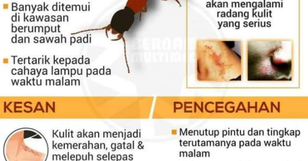 Warisan Petani: MB 92 : Semut Charlie