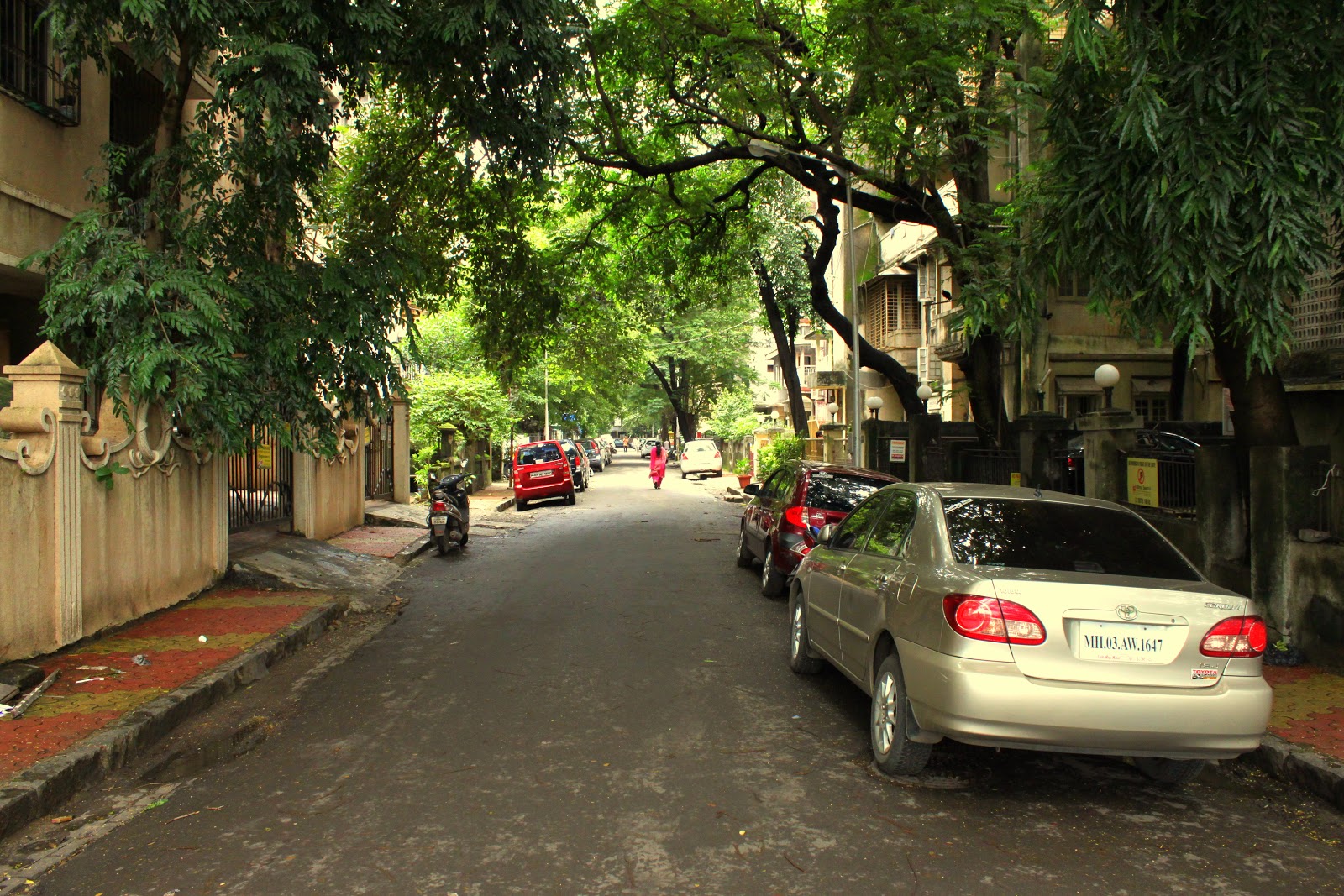 Discovering Mumbai: Hindu Colony, Dadar — A Visual Treat