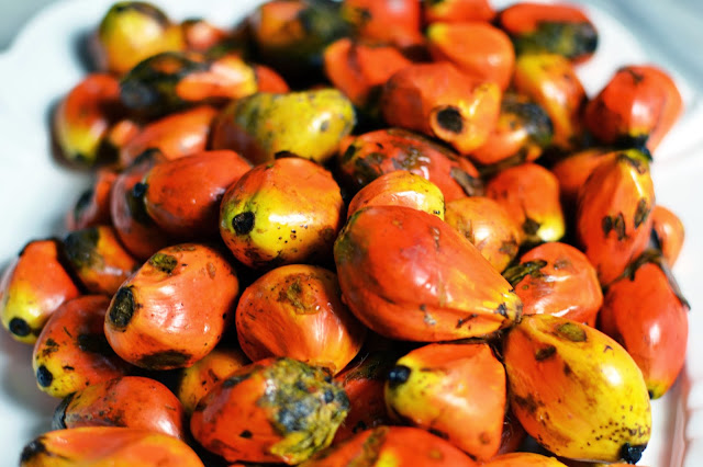 EPO PUPÁ, o CAROÇO DE DENDÊ