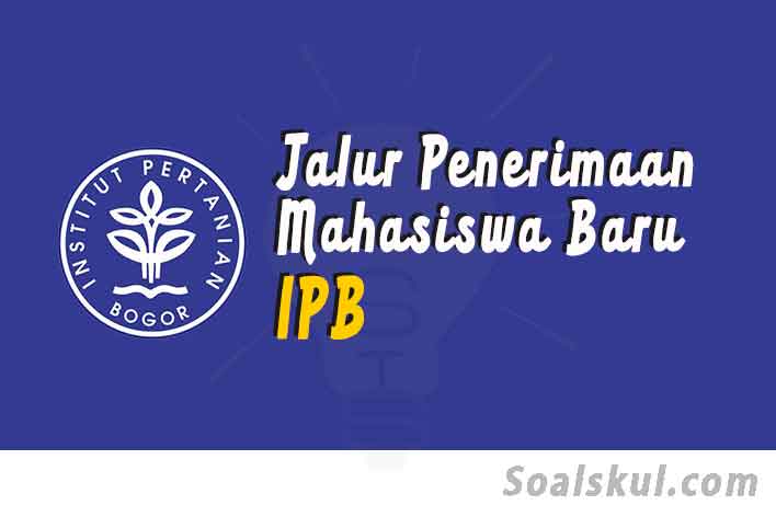 Jalur Penerimaan Mahasiswa Baru Yang Ada di IPB University - Soalskul