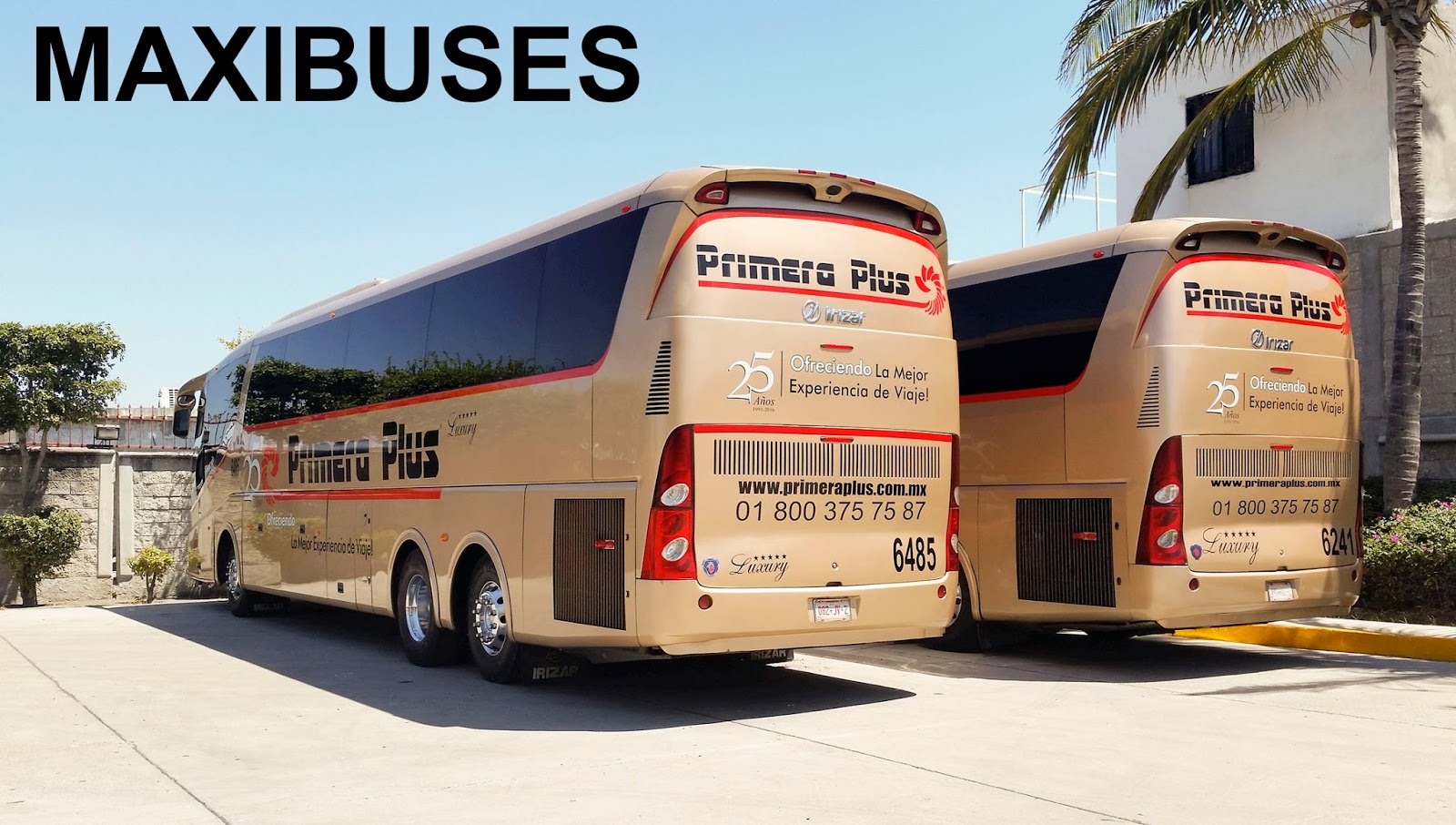 MAXIBUSES: PRIMERA PLUS