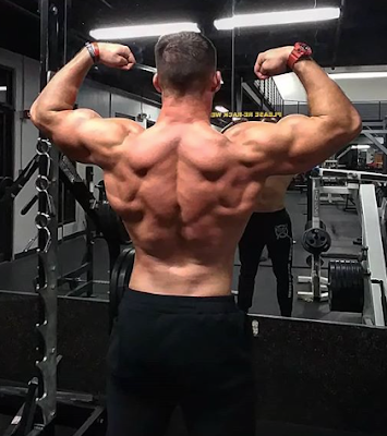 Beefcakes of Wrestling: Muscle Monday : Austin Theory