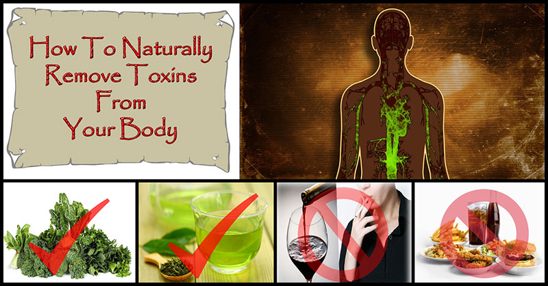 How To Naturally Remove Toxins From Your Body | Dr Farrah MD