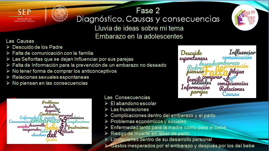 Fase 2: Diagnóstico. Causas y Consecuencias