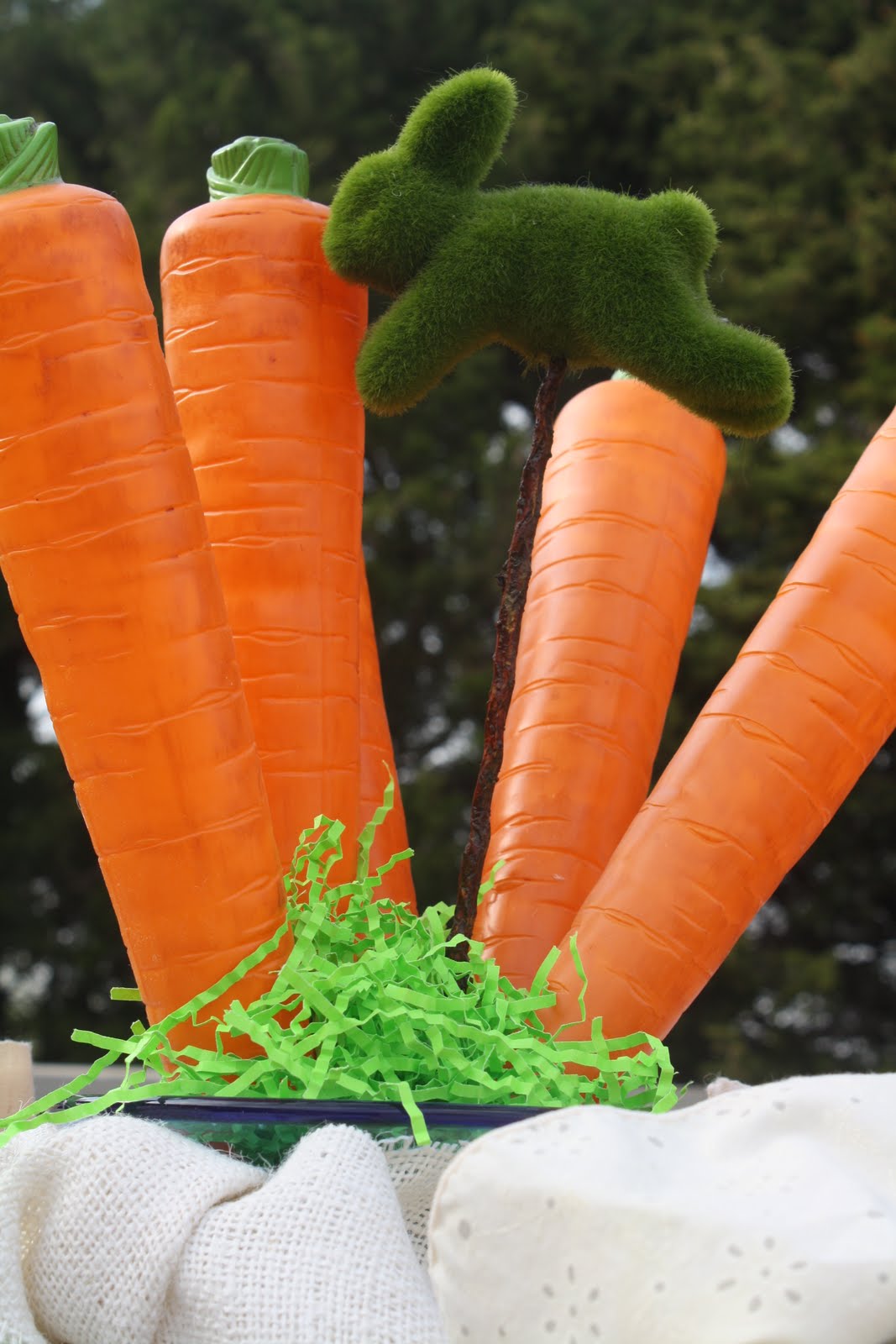 I Have A Big Story To Tell: Carrot Tops