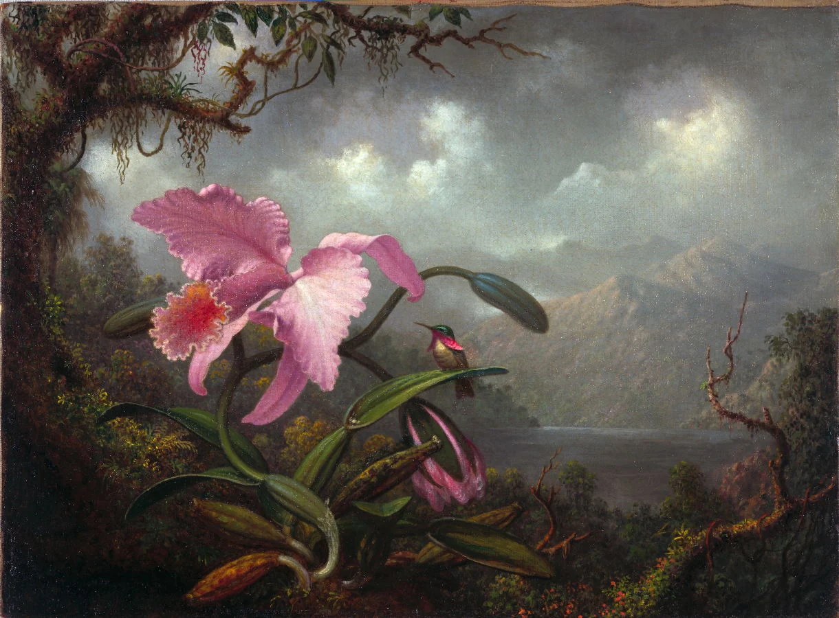 Martin Johnson Heade | Still Life | Tutt'Art@ | Pittura * Scultura ...