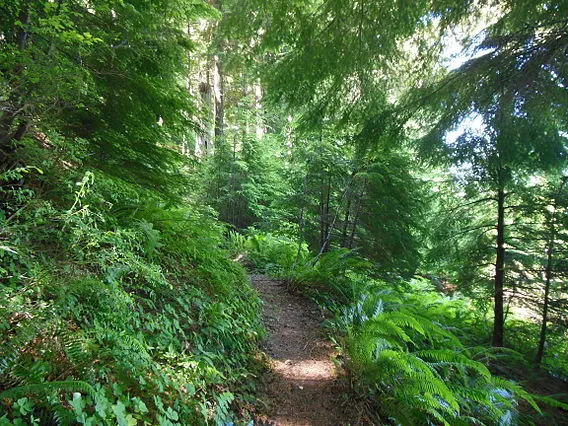 Umpqua National Forest, Oregon (with Map & Photos)