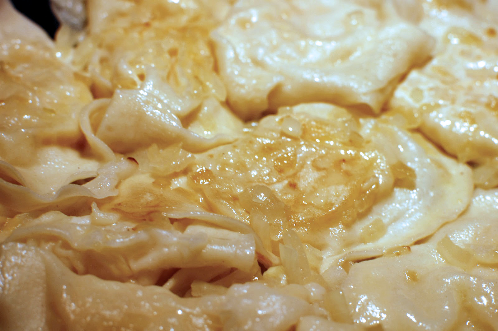 Pleasantly Plump Polish Pierogi!