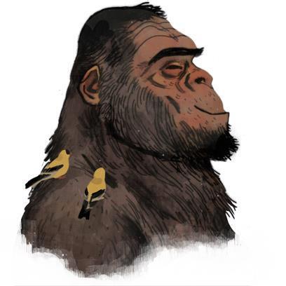 Sasquatch Watch of Virginia: A New Bigfoot Facebook Page