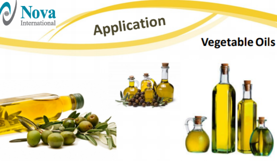 Tersier Butil Hidroksiquinon : Antioksidan Yang Menghambat Kerja Sistem ...