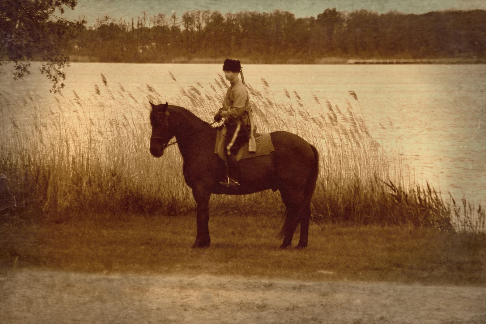 Bitwa pod Berezyną (część pierwsza) | W o l s z t y n