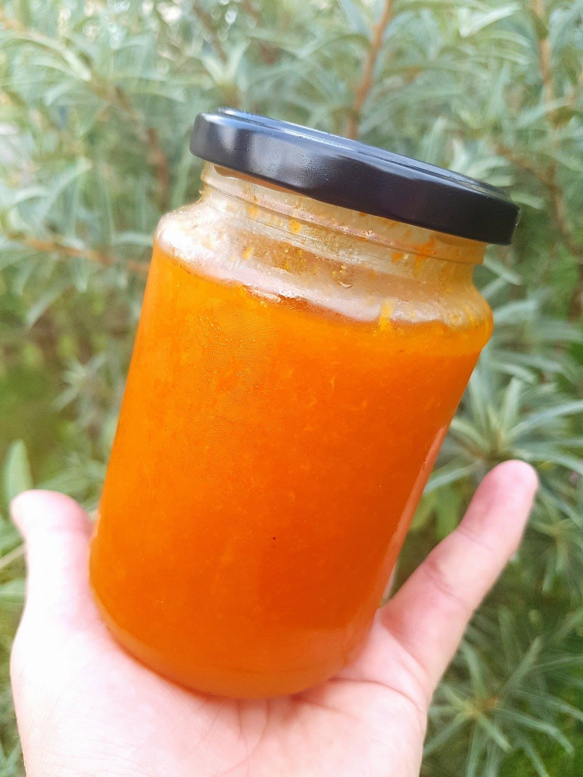 Lycklig i Halland: Havtornsmarmelad på här- & kär odlade bär!