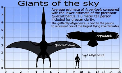 Documentalium: Gigantescas aves extintas