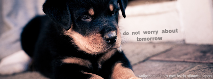 Facebook Covers Tumblr.com: Dog facebook cover tumblr.com