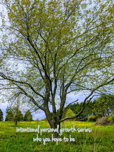 Team Studer: Intentional Personal Growth Series: Who you hope to be