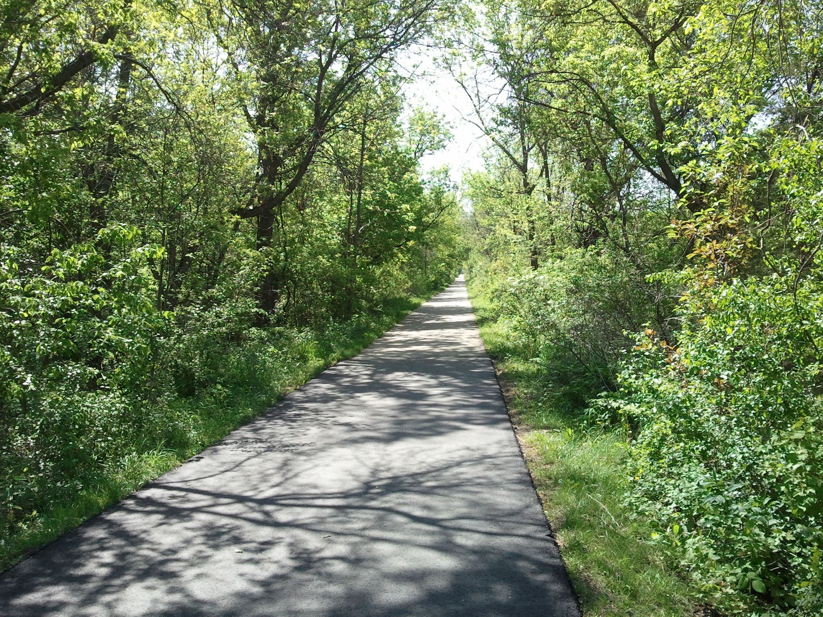 MN Bike Trail Navigator: Trail Photo Gallery: Douglas State Trail