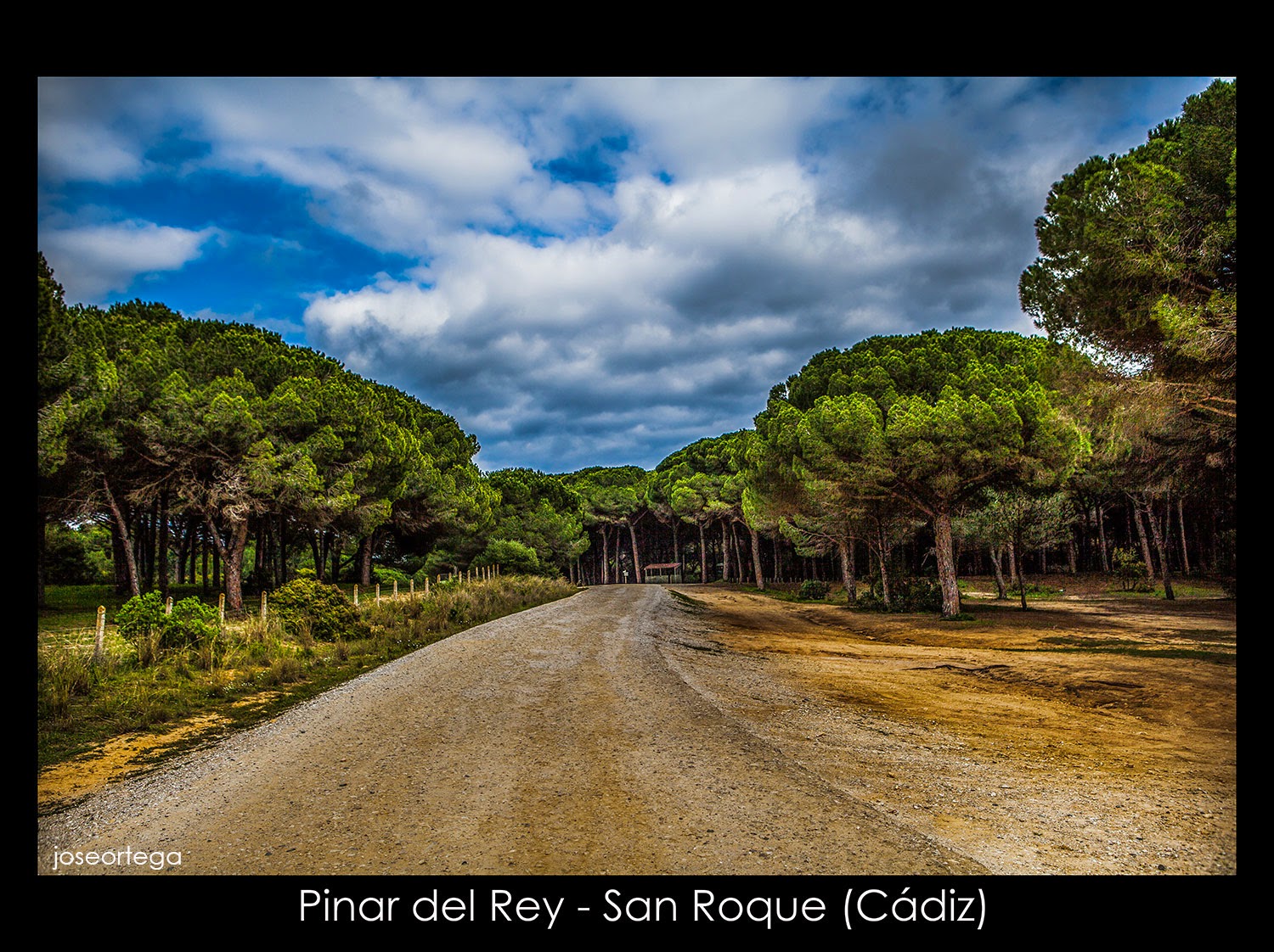 joseortega: Pinar del Rey - San Roque (Cádiz)