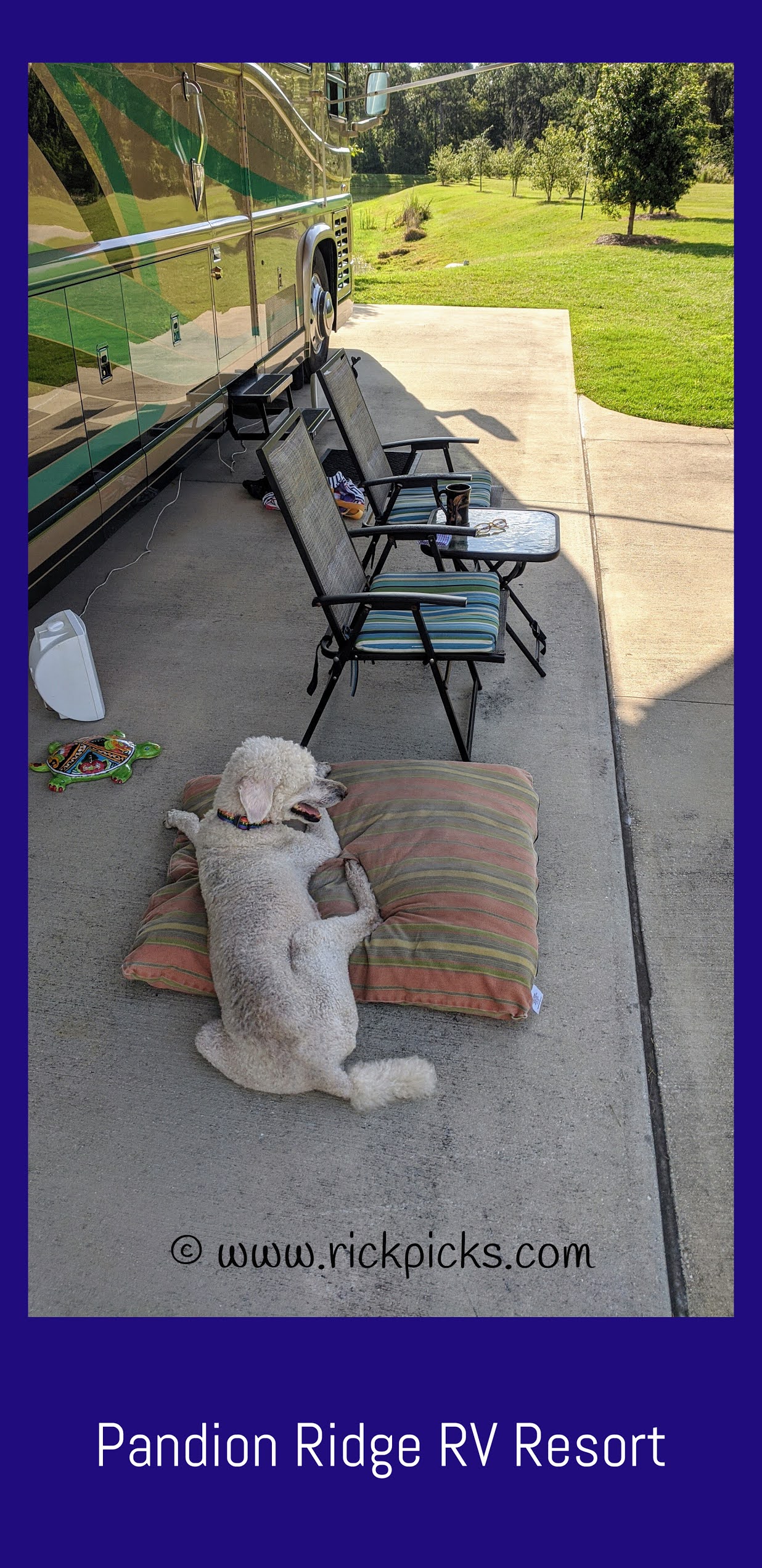 Rick's Picks: Pandion Ridge RV Resort, Orange Beach, AL