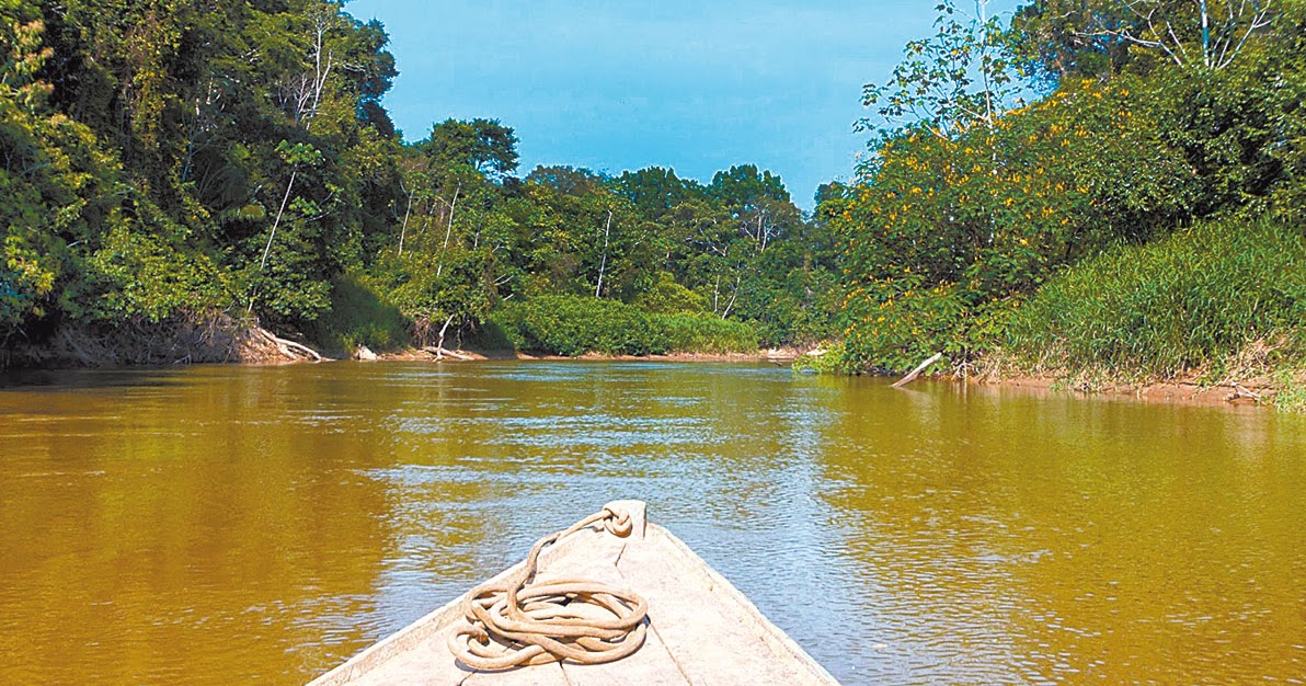 Pando: Para saber de la vida silvestre en el Manuripi