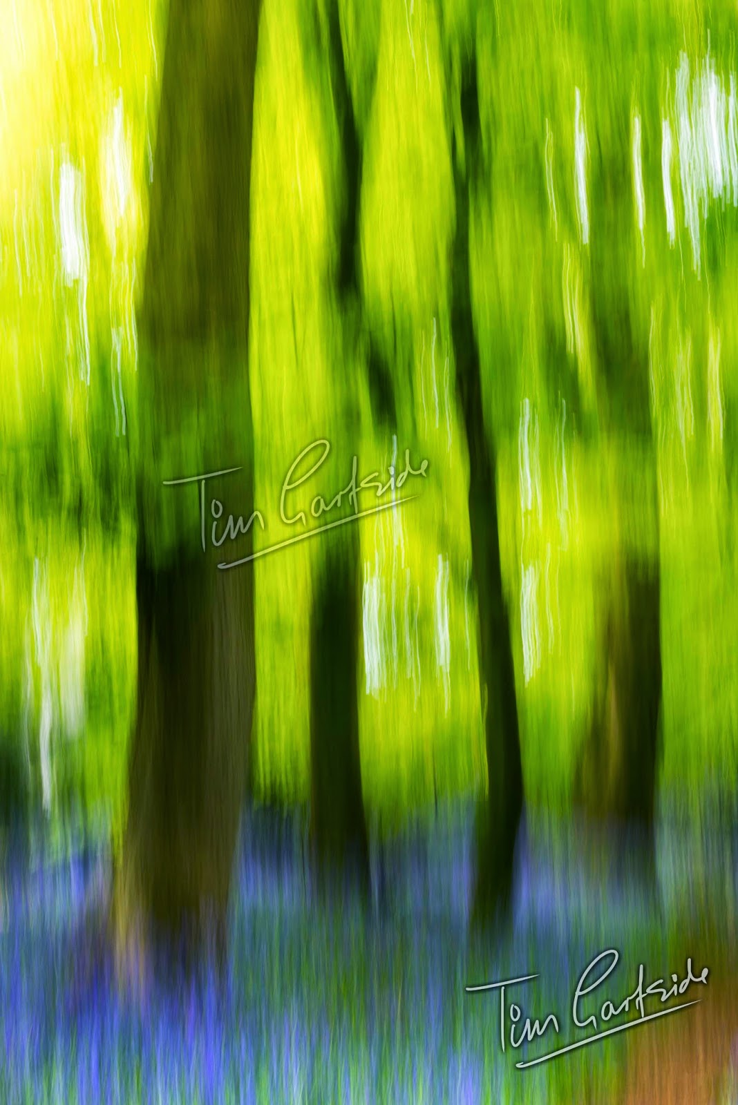 Tim Gartside Photography Workshop Blog