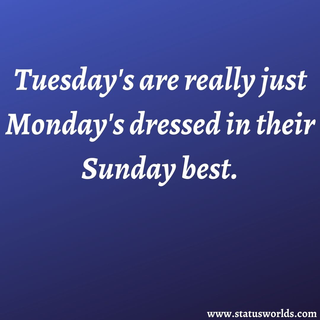 294+ Tuesday Captions, Wishes, Status & Quotes For Tuesday Lover People ...