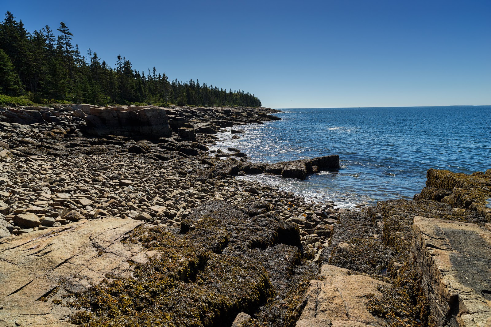 Mike's Photographs : Day 6 Maine, Schoodic Peninsula
