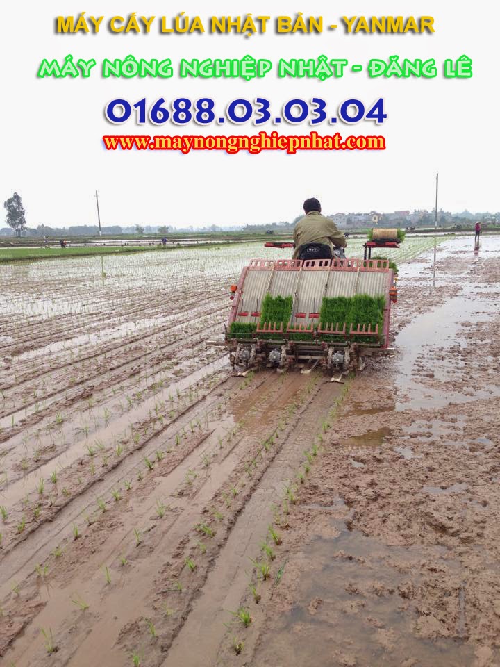 MÁY GẶT ĐẬP LIÊN HỢP NHẬT BẢN-KUBOTA-ISEKI -YANMAR: Đăng lê cấy vụ ...