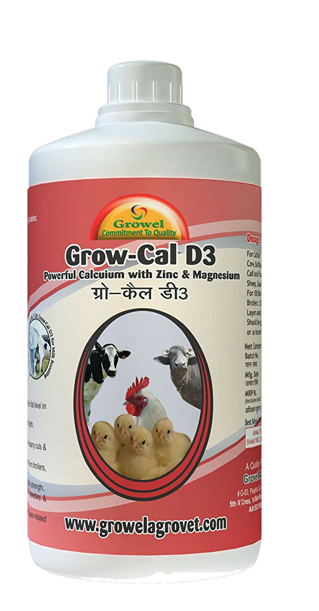 Importance of Mineral And Vitamins For Goats - Goat Farming