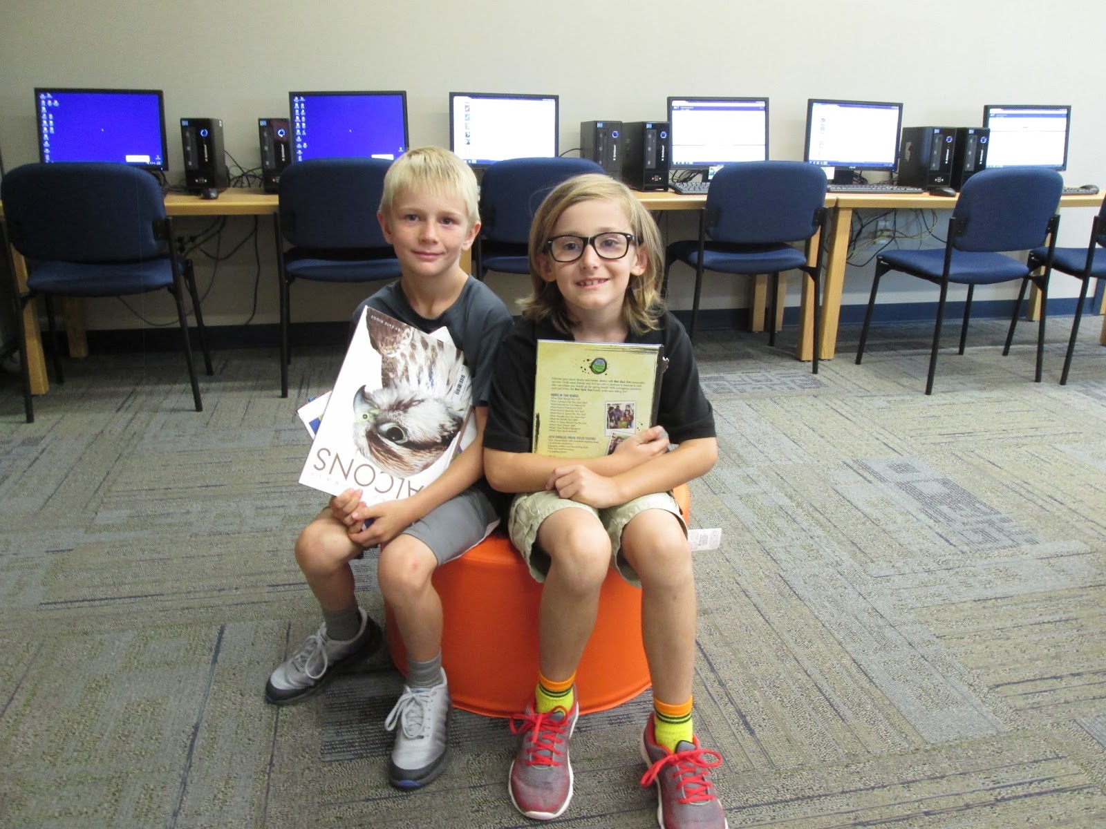 Frog Bog Blog: Happenings at the Bridgeview Library