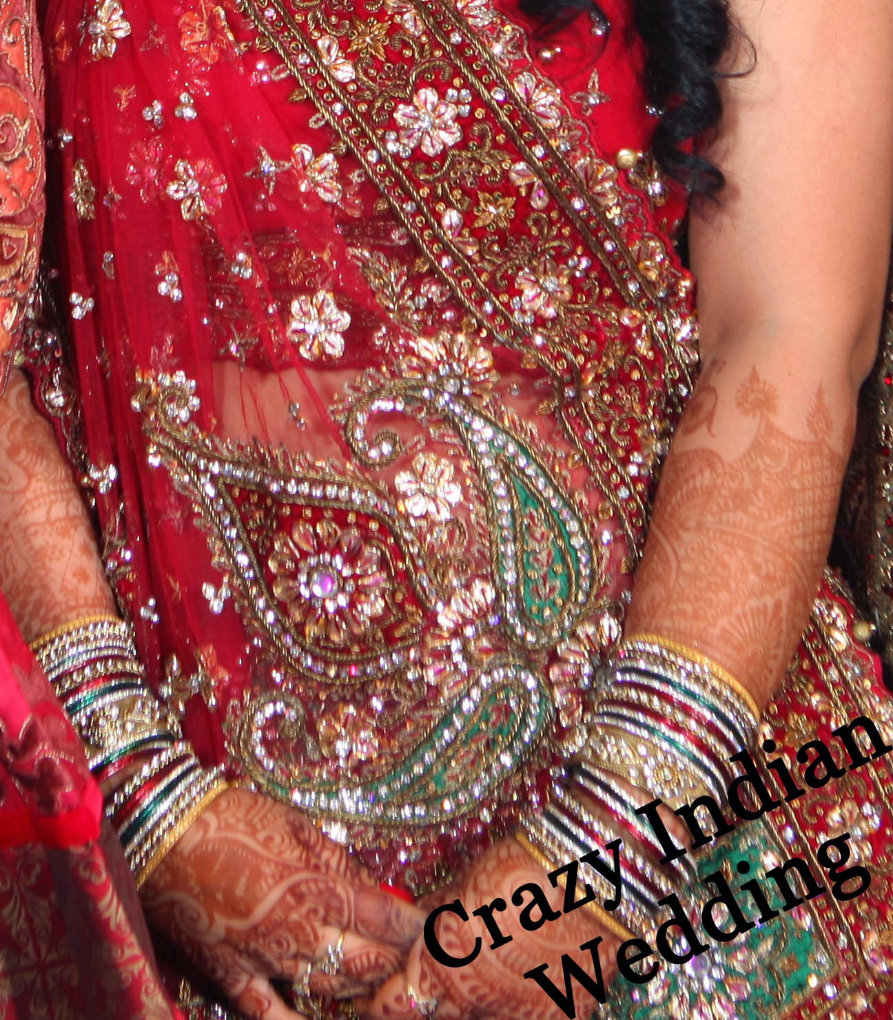 Crazy Indian Wedding : Mission Marriage: Plus Size Indian Bride ...