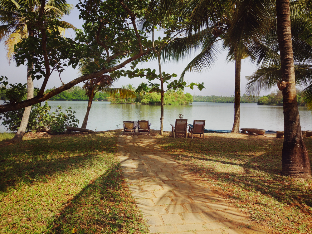 Visit to nat geo must see destination at Kakkathuruthu Islands