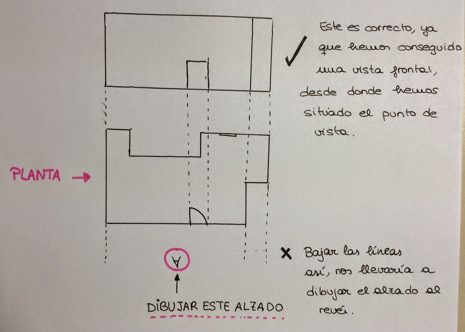 Dalmau Arquitectura: Realizar un alzado/sección a partir de una planta.