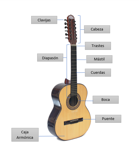 TALLER DE TIPLE Y REQUINTO: El tiple