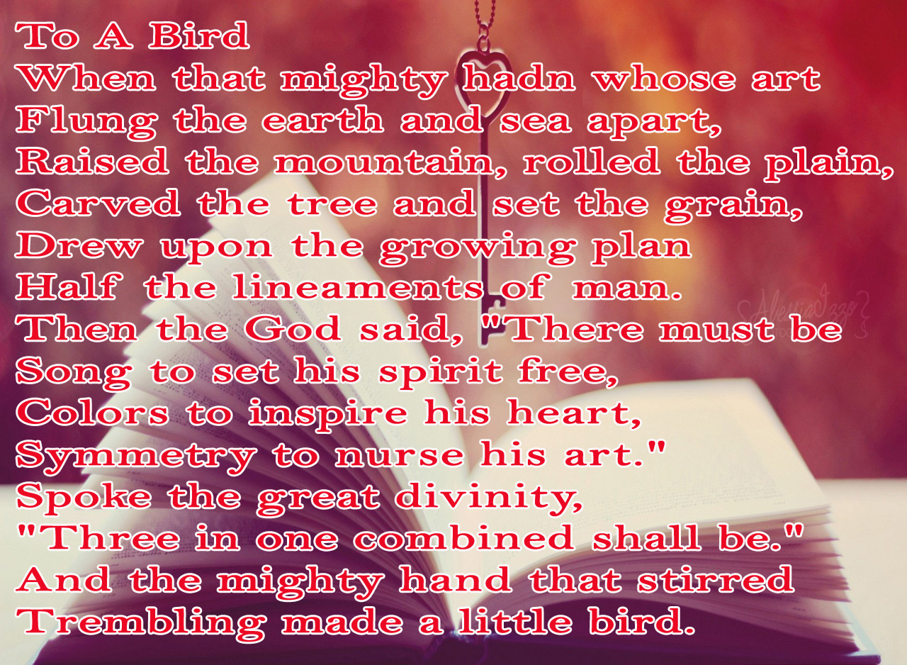 Best Knowledge Poem To A Bird With Wallpaper - Poetry Likers