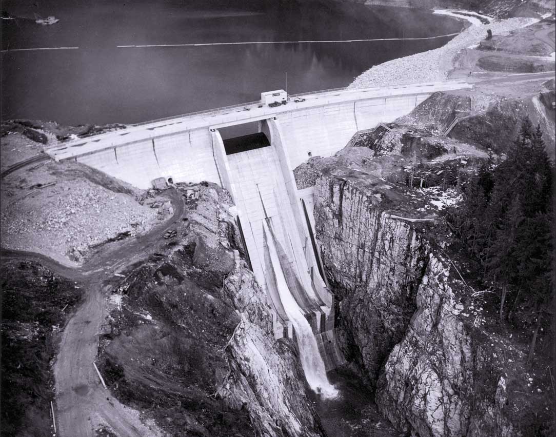 Blog Borg Collective: Quiet solitude of Capilano River Regional Park's ...