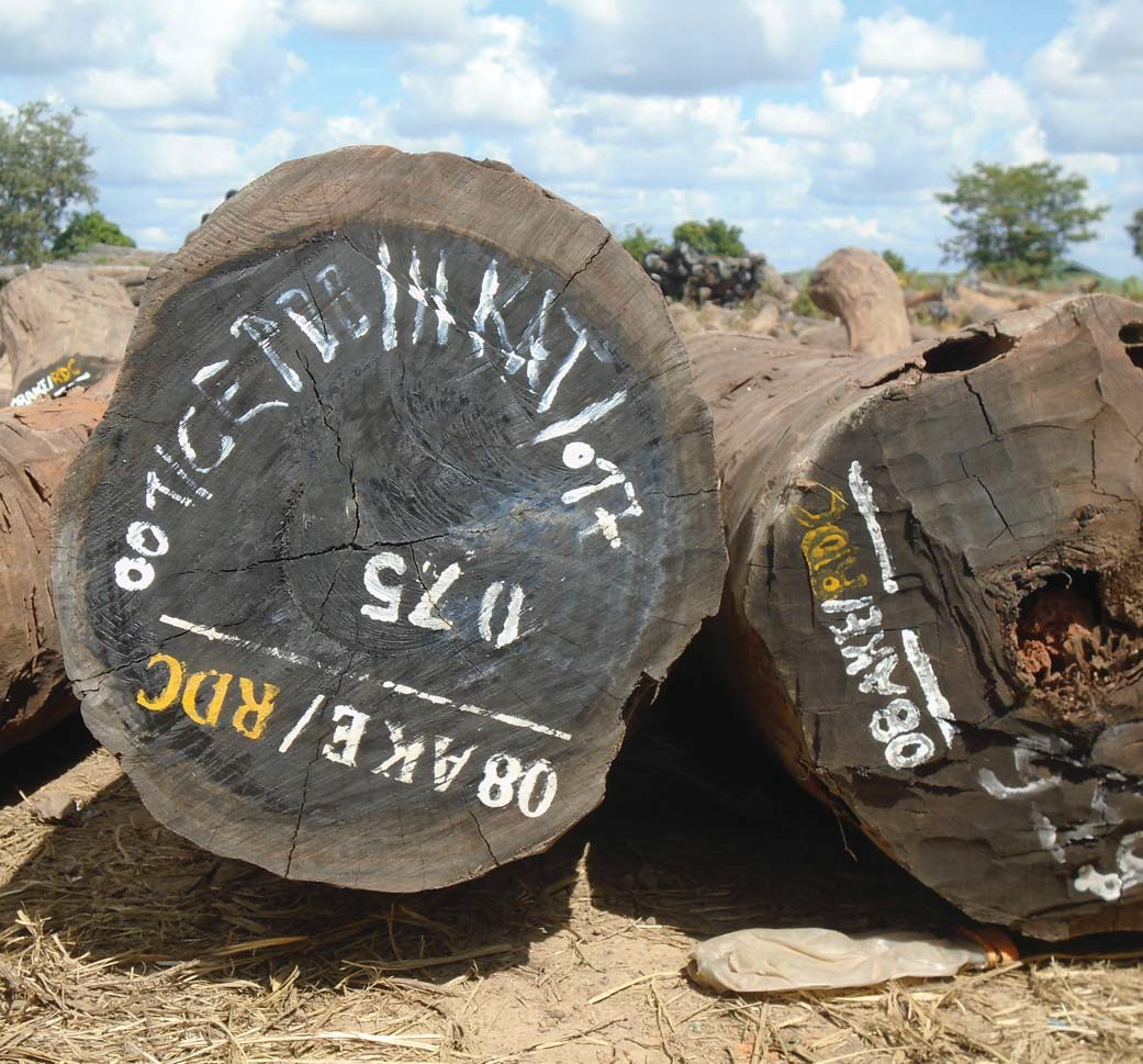 Sciency Thoughts: A hunger for Hongmu (红木): The Environmental ...