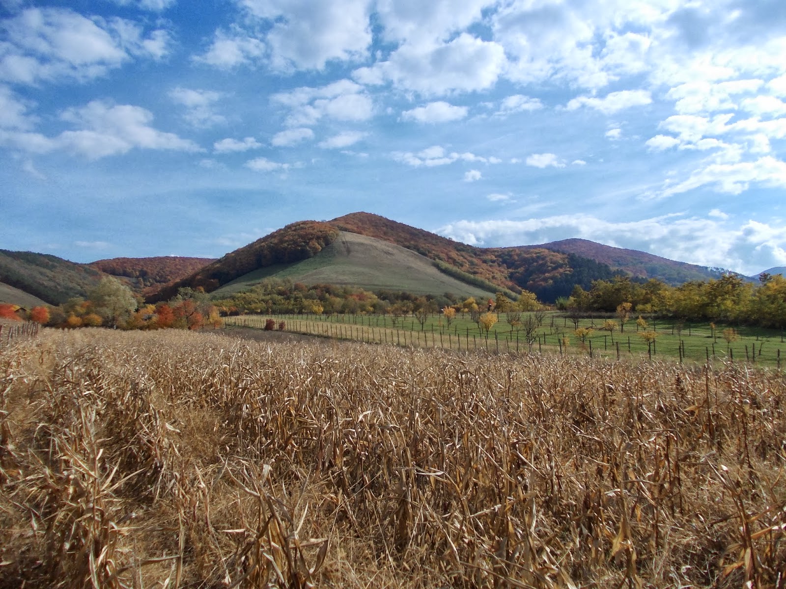 Cugiria: După dealuri