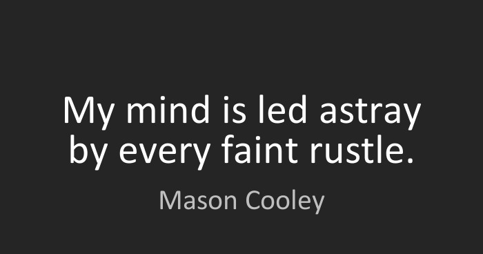 Because I Can: Being Led Astray