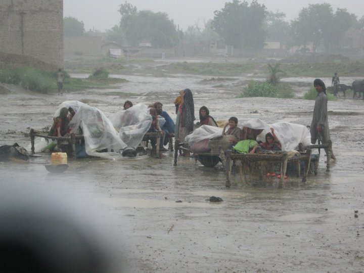 Fload in Mithan kot ~ Mithankot