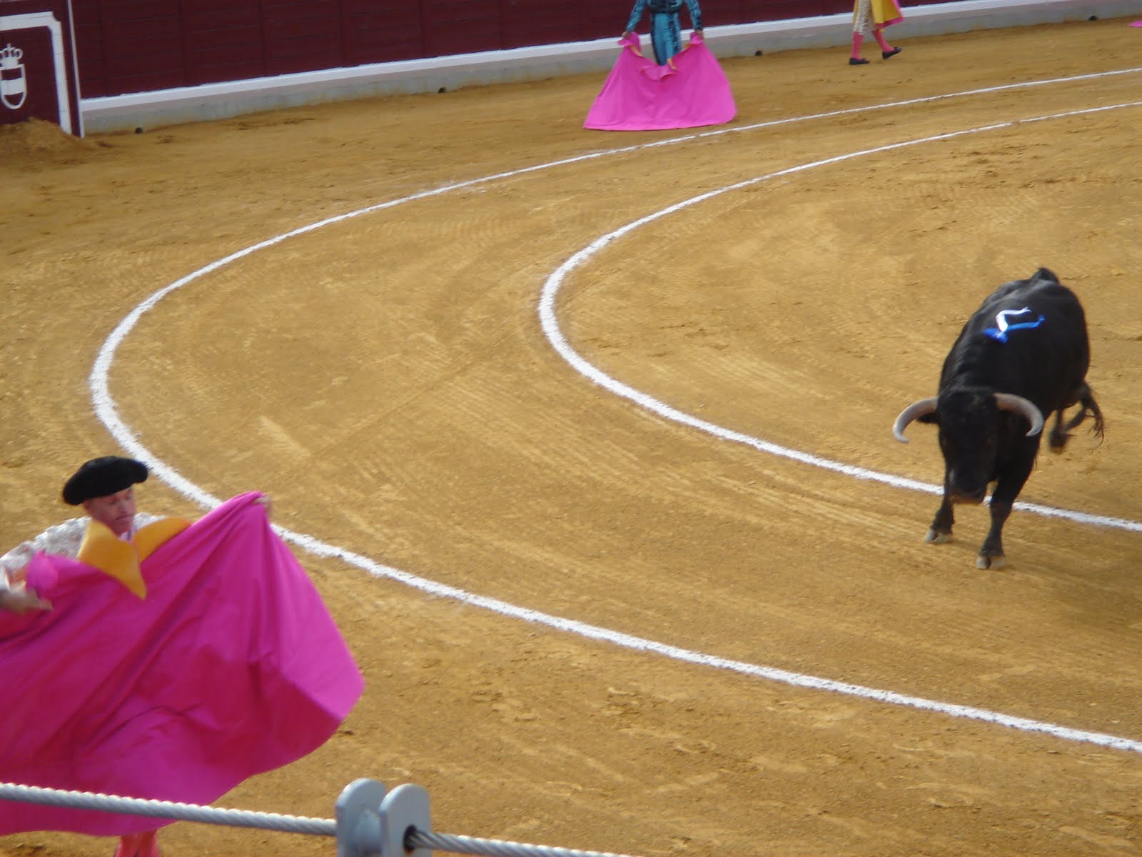 RTgoes2spain: My first bullfight