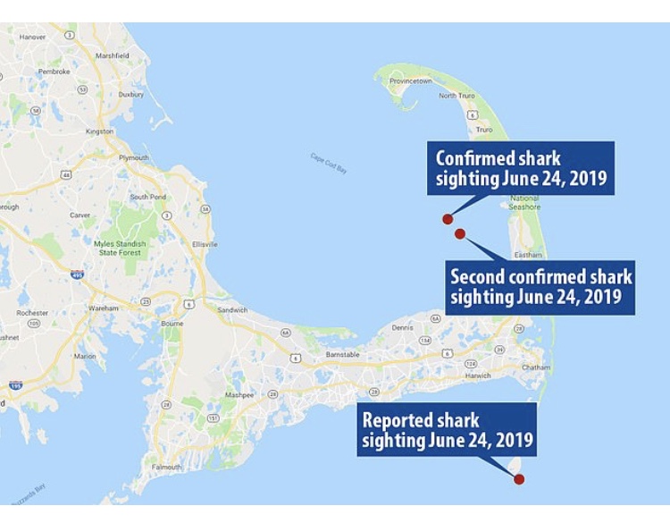 Henry LIVE : It's officially shark season and so far three great whites ...